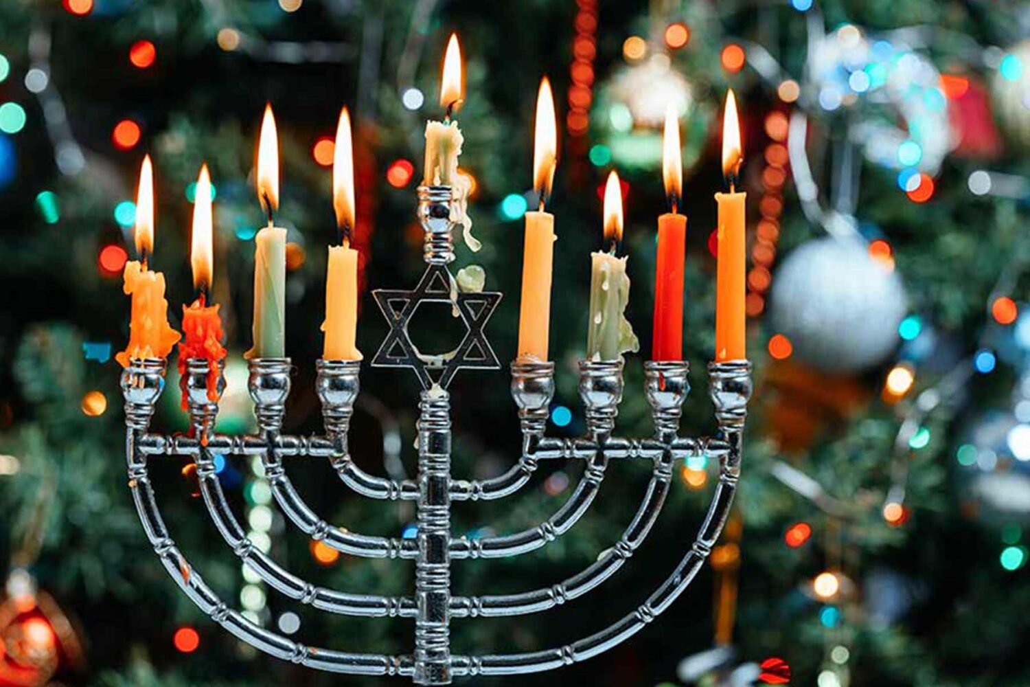 Neuigkeiten über Gilboa Passion Israel: Aktuelle Nachrichten